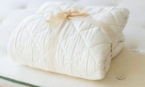 The 14 Best Organic Mattress Protectors - Natural Baby Mama