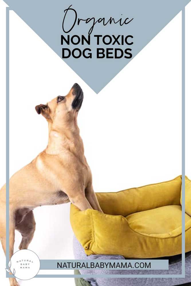 The Best Non-Toxic, Organic Dog Beds of 2024 - Natural Baby Mama